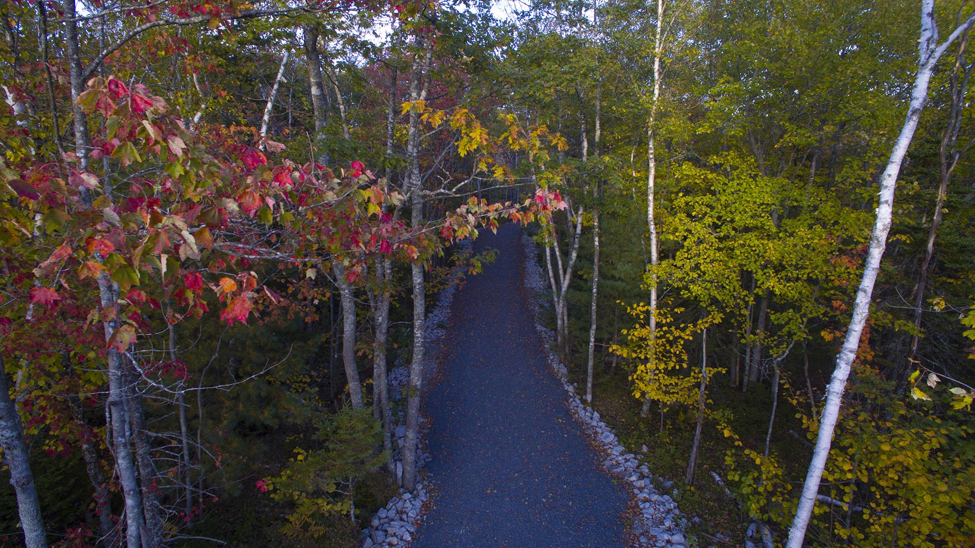 Long Lake Provincial Park Association – Long Lake Provincial Park